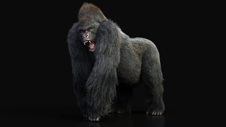 Buy Gorilla (RIG) (XGEN-CORE) Online | Massimorighi.com