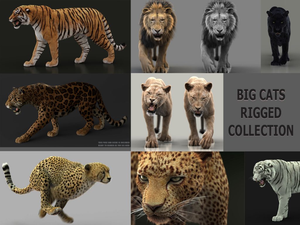 Buy 3D Models Online | 3D Animals Models Online | Massimo Righi