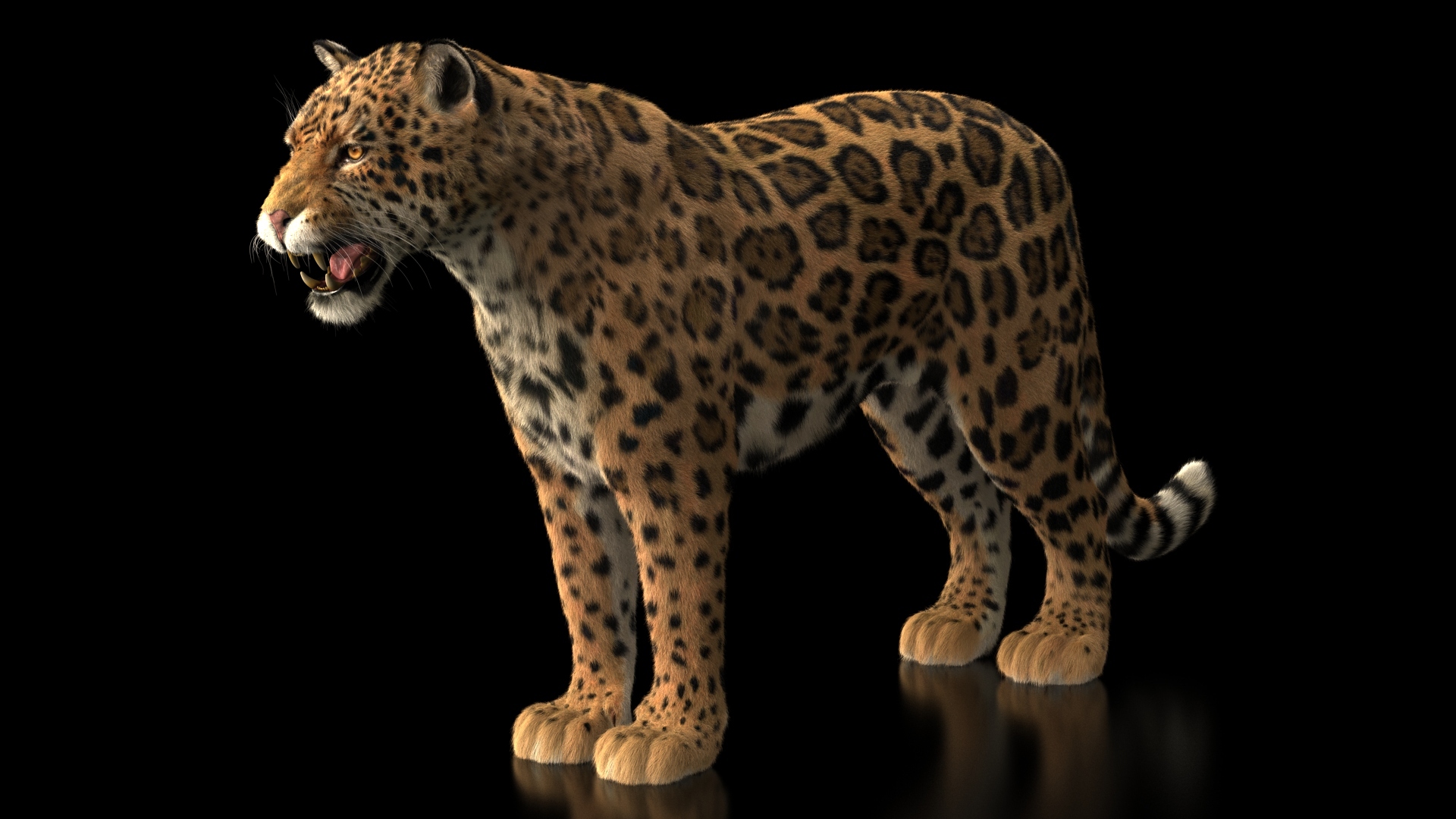 Jaguar ANIMATED (Xgen-core) Online | Massimo Righi 3D Models