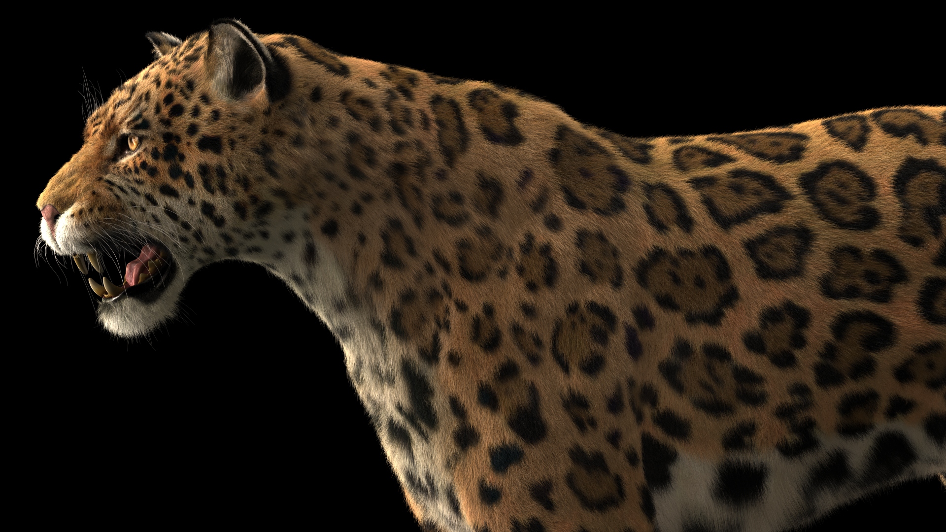 Jaguar ANIMATED (Xgen-core) Online | Massimo Righi 3D Models