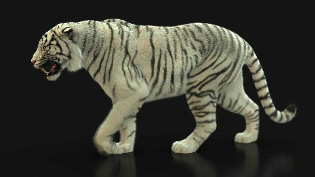 Buy Bengal Tiger Animated (Xgen-core) Online | Massimorighi.com