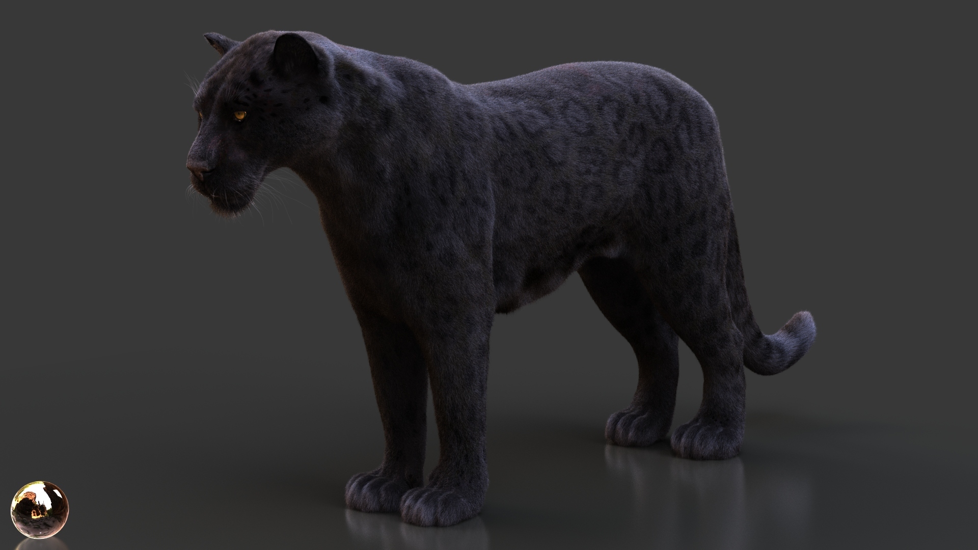 Black Jaguar ANIMATED (Xgen-core) Online | Massimo Righi 3D Models