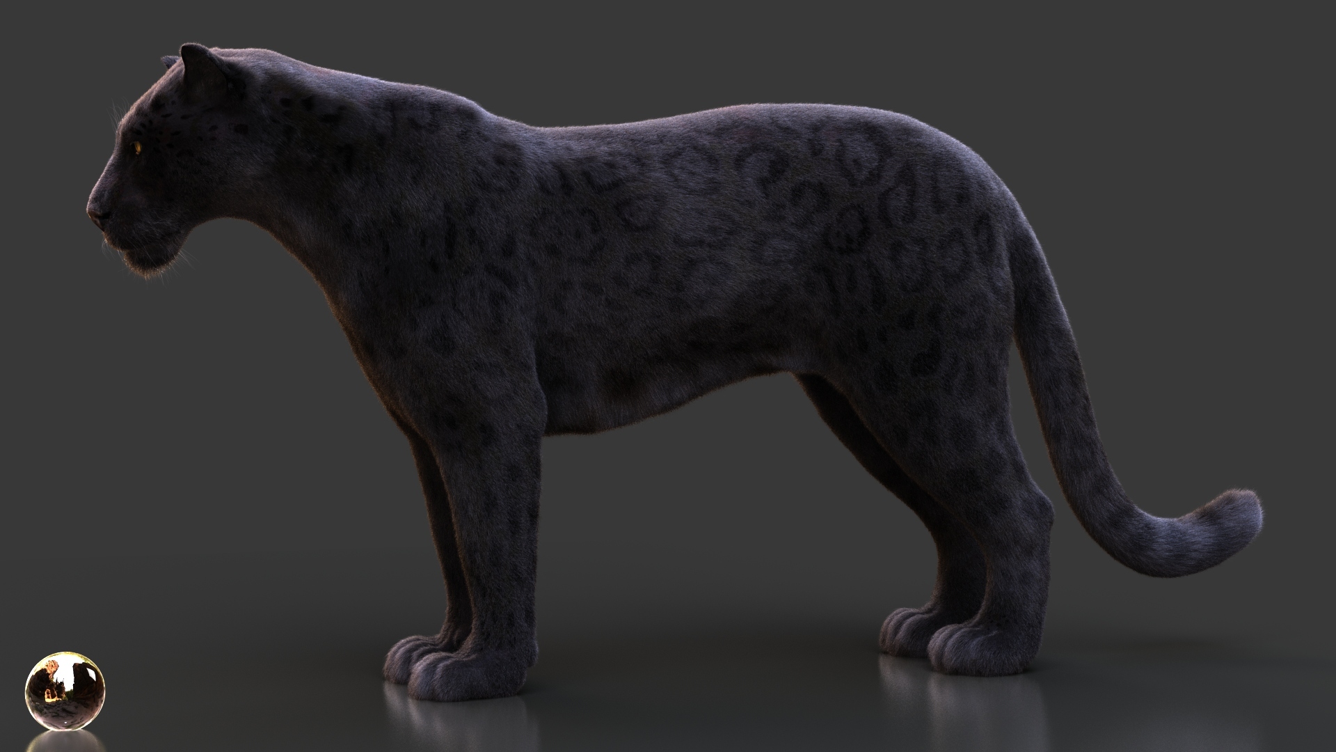 Black Jaguar ANIMATED (Xgen-core) Online | Massimo Righi 3D Models