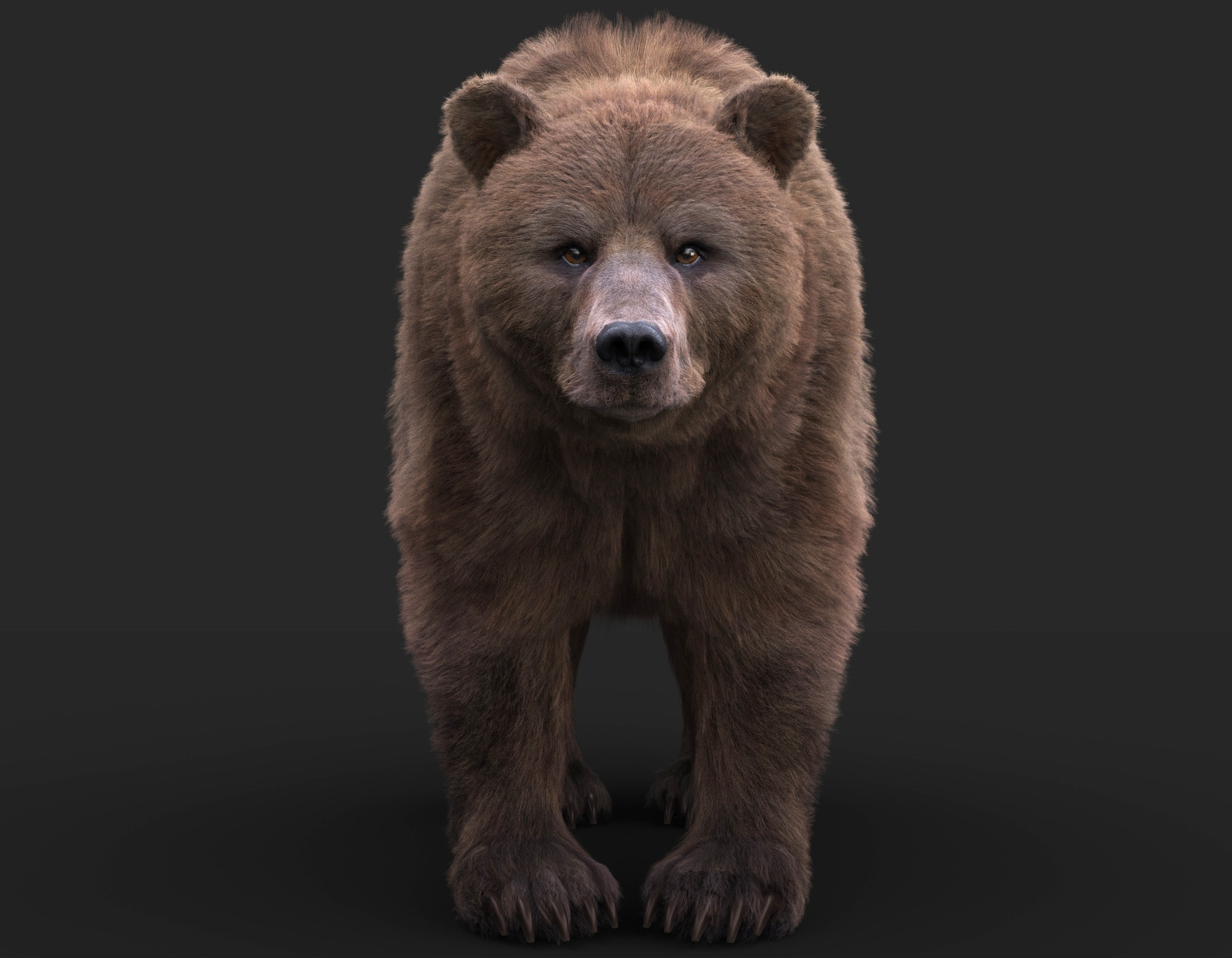 Bear RIG (xgen-core) Online | Massimo Righi 3D Models