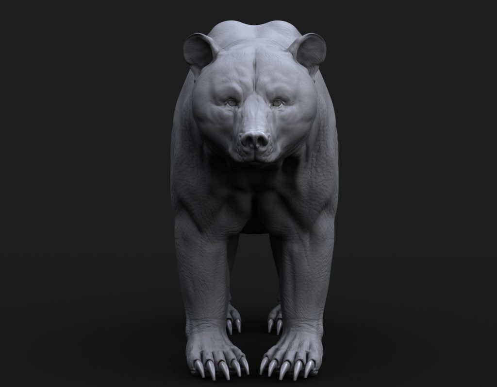 Bear RIG (xgen-core) Online | Massimo Righi 3D Models