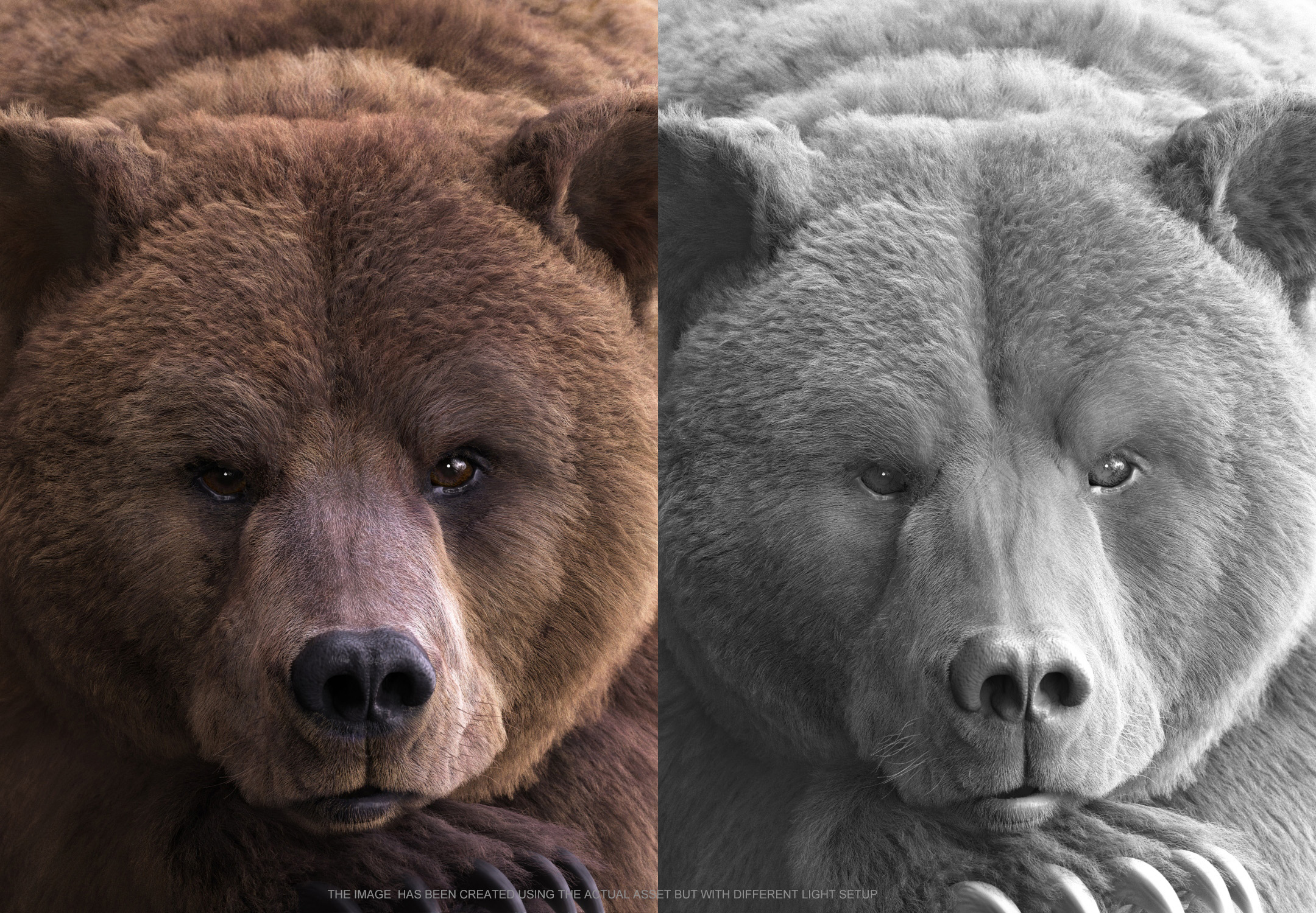 Bear RIG (xgen-core) Online | Massimo Righi 3D Models