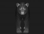 Bear (xgen-core) 3D Models | Animal 3d Models