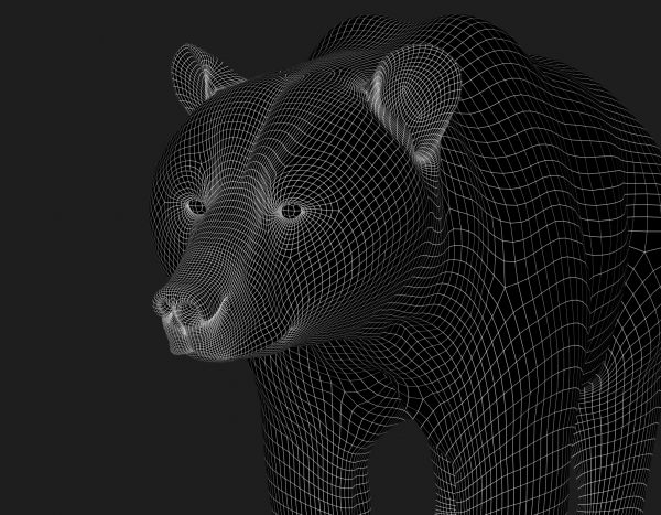 Bear (xgen-core) 3D Models | Animal 3d Models