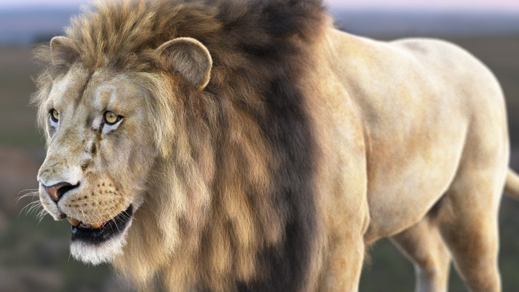 Lion (RIG) (XGEN-CORE) Online | 3D Models Online | Massimo Righi