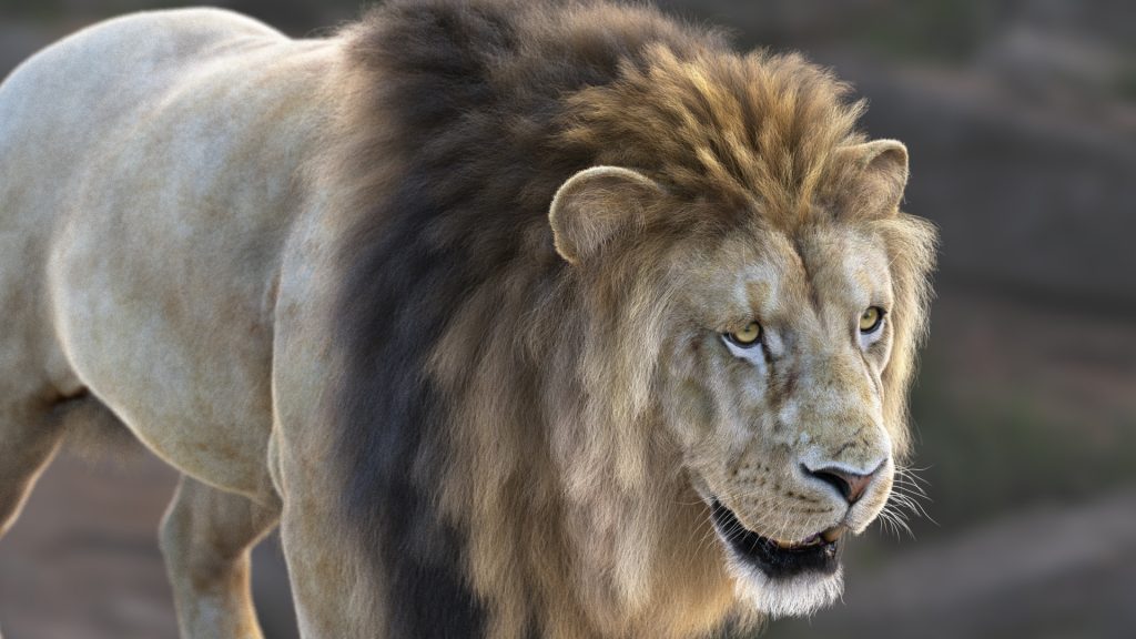 Lion (RIG) (XGEN-CORE) Online | 3D Models Online | Massimo Righi