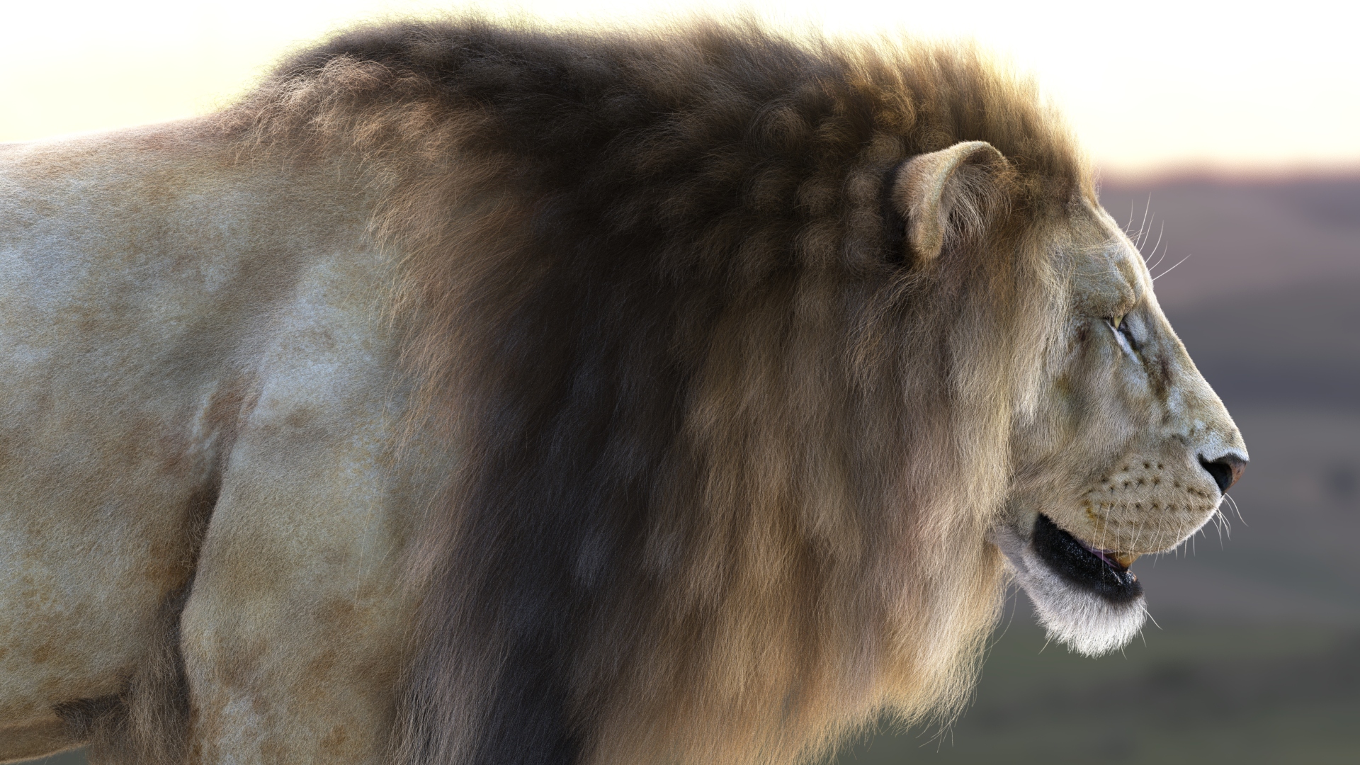 Lion (RIG) (XGEN-CORE) Online | 3D Models Online | Massimo Righi