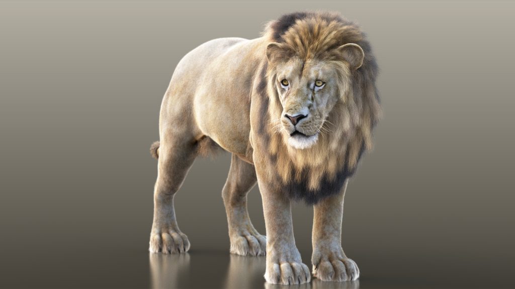Lion (RIG) (XGEN-CORE) Online | 3D Models Online | Massimo Righi