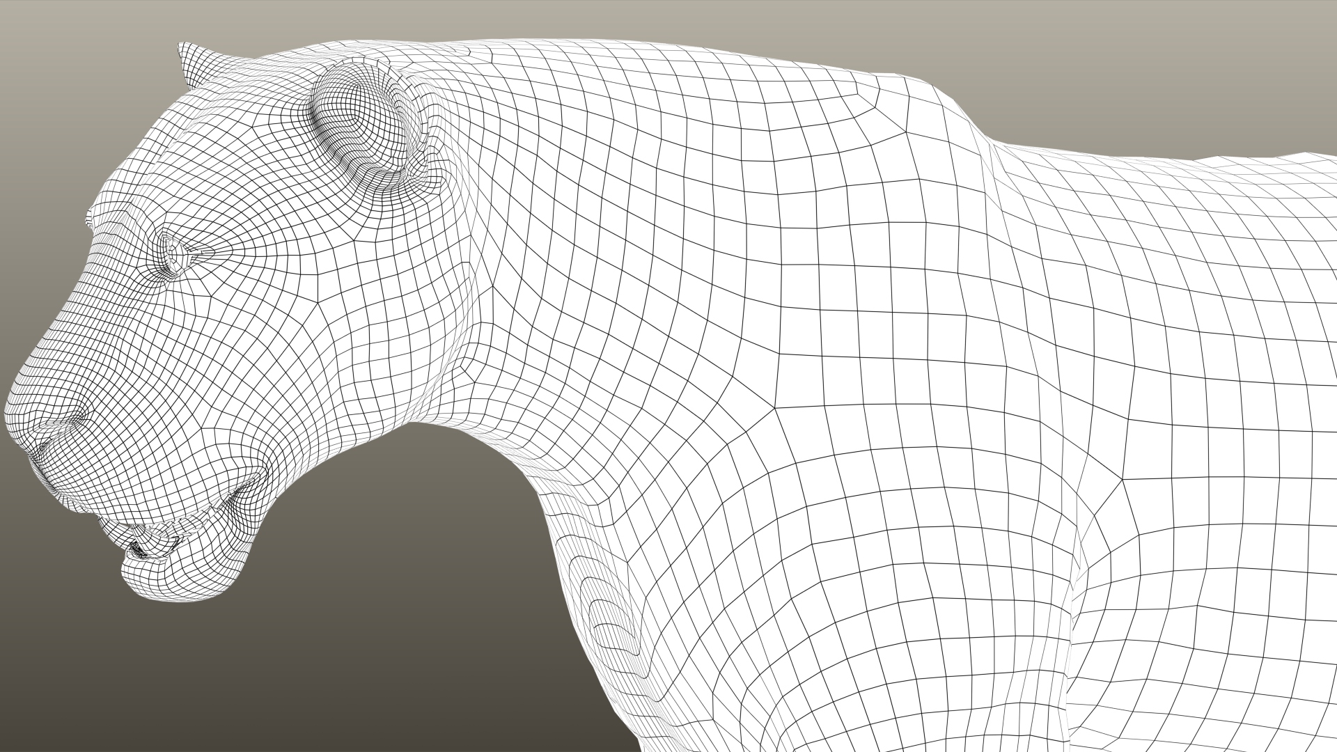 Lion (RIG) (XGEN-CORE) Online | 3D Models Online | Massimo Righi