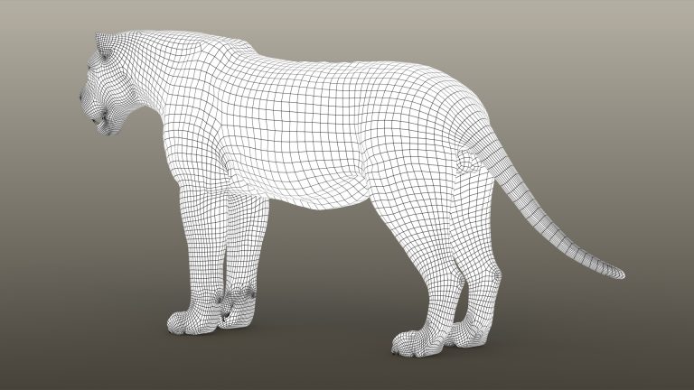 Lion (RIG) (XGEN-CORE) Online | 3D Models Online | Massimo Righi