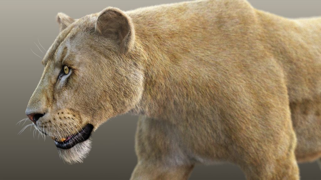 Lioness (RIG) (XGEN-CORE) Online | 3D Models Online | Massimo Righi