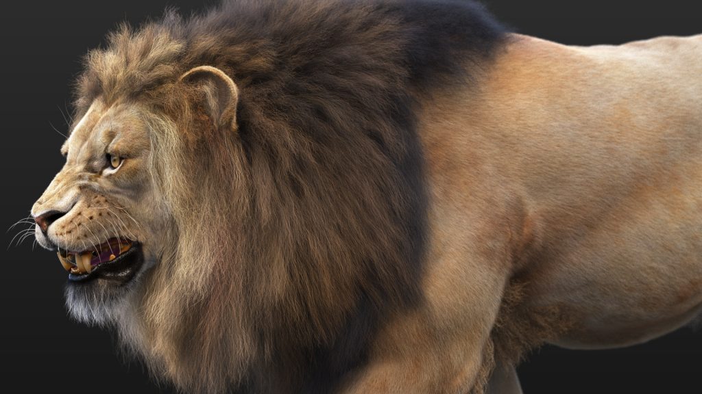 Lion (B) (RIG) (XGEN-CORE) Online | 3D Models Online | Massimo Righi