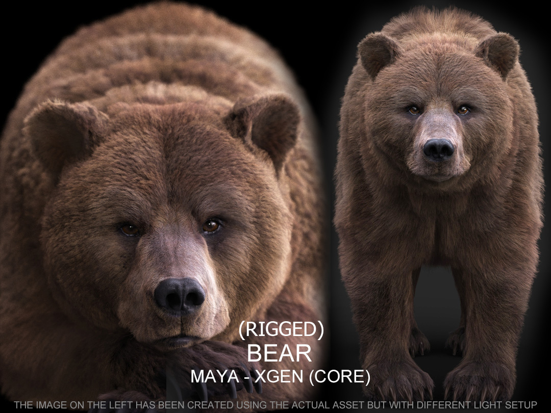Buy 3D Models Online | 3D Animals Models Online | Massimo Righi