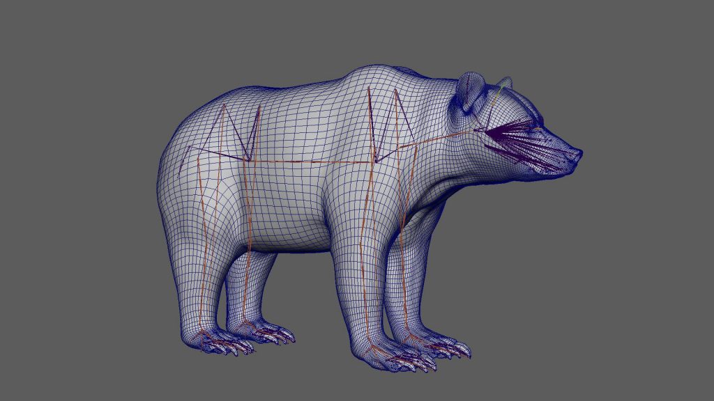 Bear (xgen-core) 3D Models | Animal 3d Models