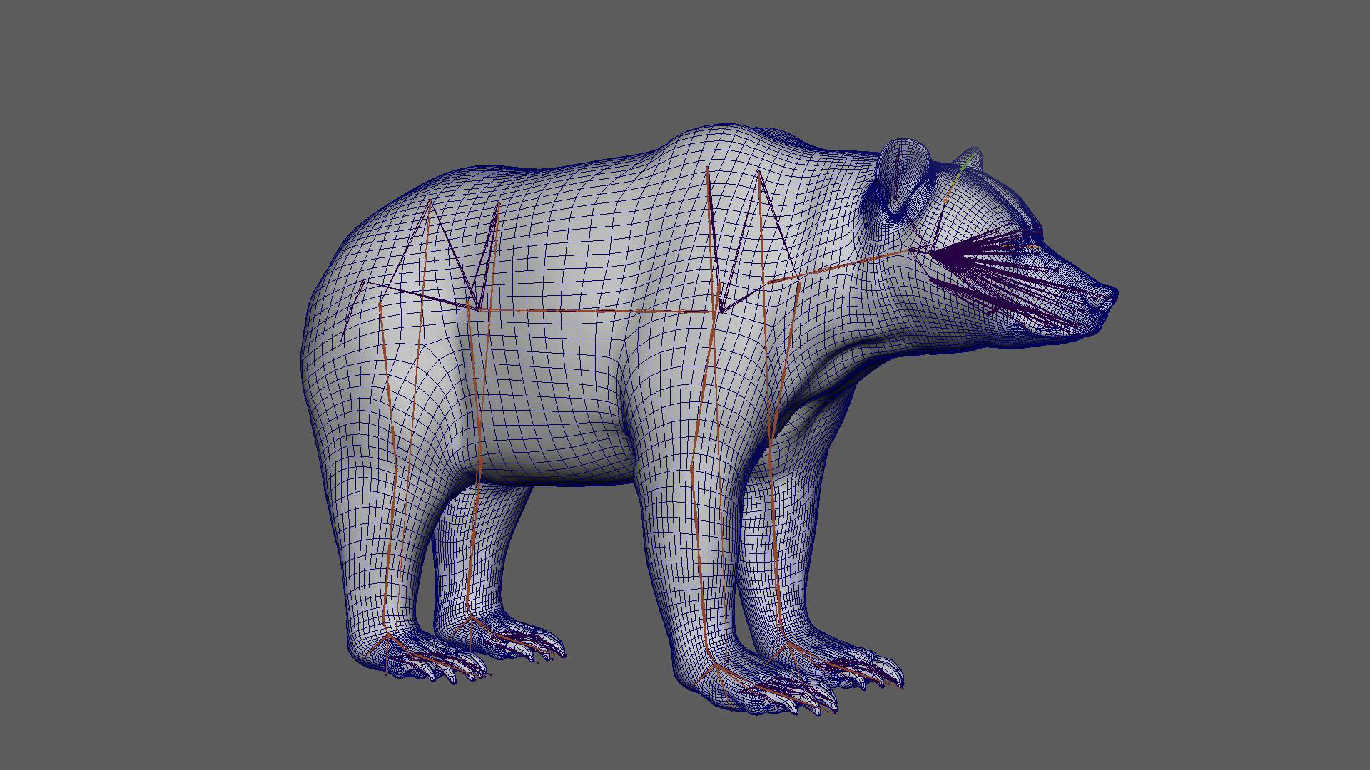 Bear RIG (xgen-core) Online | Massimo Righi 3D Models