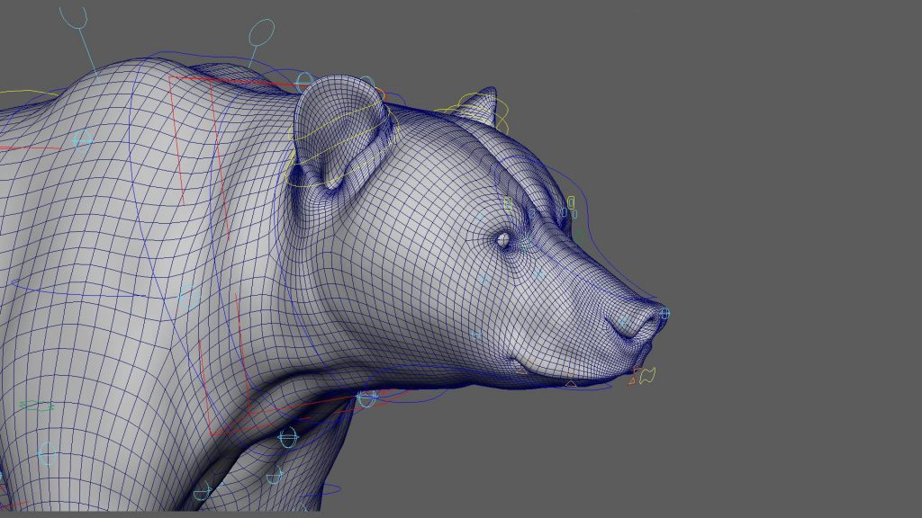 Bear RIG (xgen-core) Online | Massimo Righi 3D Models