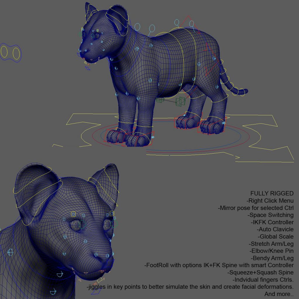 Lion Cub (RIG) (XGEN-CORE) Online | 3D Models Online | Massimo Righi
