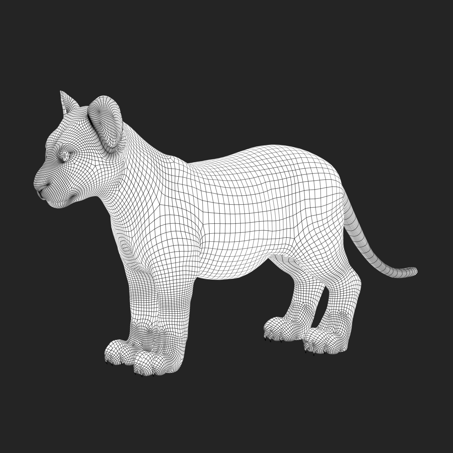 Lion Cub (RIG) (XGEN-CORE) Online | 3D Models Online | Massimo Righi