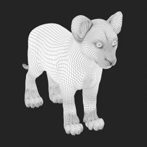 Lion Cub (RIG) (XGEN-CORE) Online | 3D Models Online | Massimo Righi