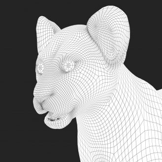 Lion Cub (RIG) (XGEN-CORE) Online | 3D Models Online | Massimo Righi