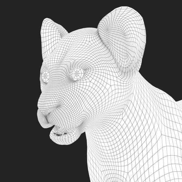 Lion Cub (RIG) (XGEN-CORE) Online | 3D Models Online | Massimo Righi