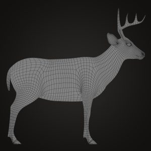 Buy Deer (RIG) (XGEN-CORE) 3D Models Online | Massimo Righi