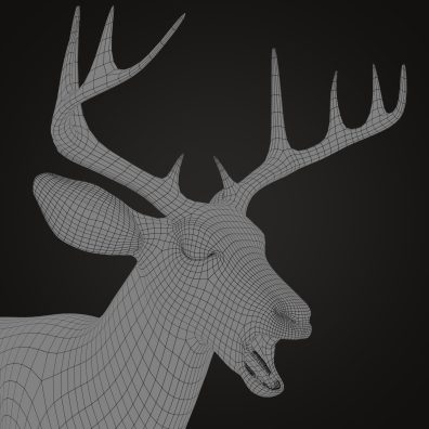 Buy Deer (RIG) (XGEN-CORE) 3D Models Online | Massimo Righi