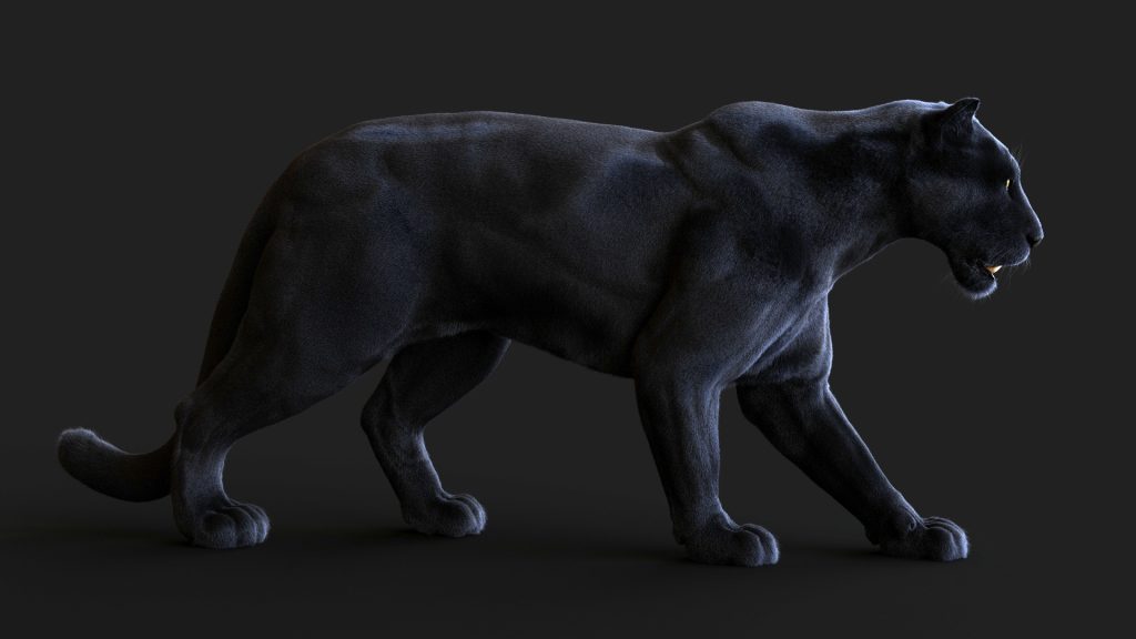 Black Panther RIG (Xgen-core) Online | Massimo Righi 3D Models