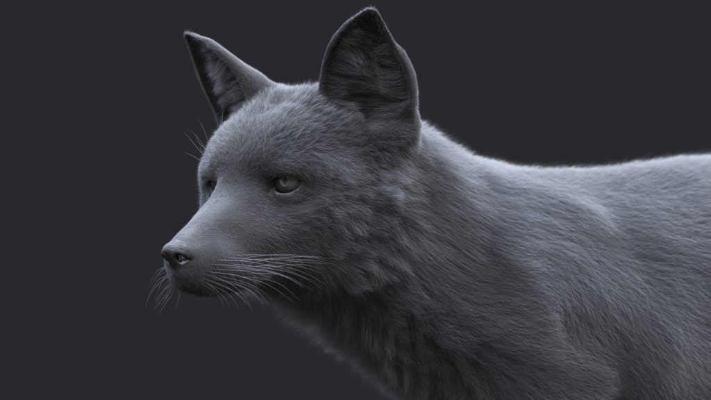 FOX (RIG) (XGEN-CORE) 3D Model Online | Fox 3D Model Online