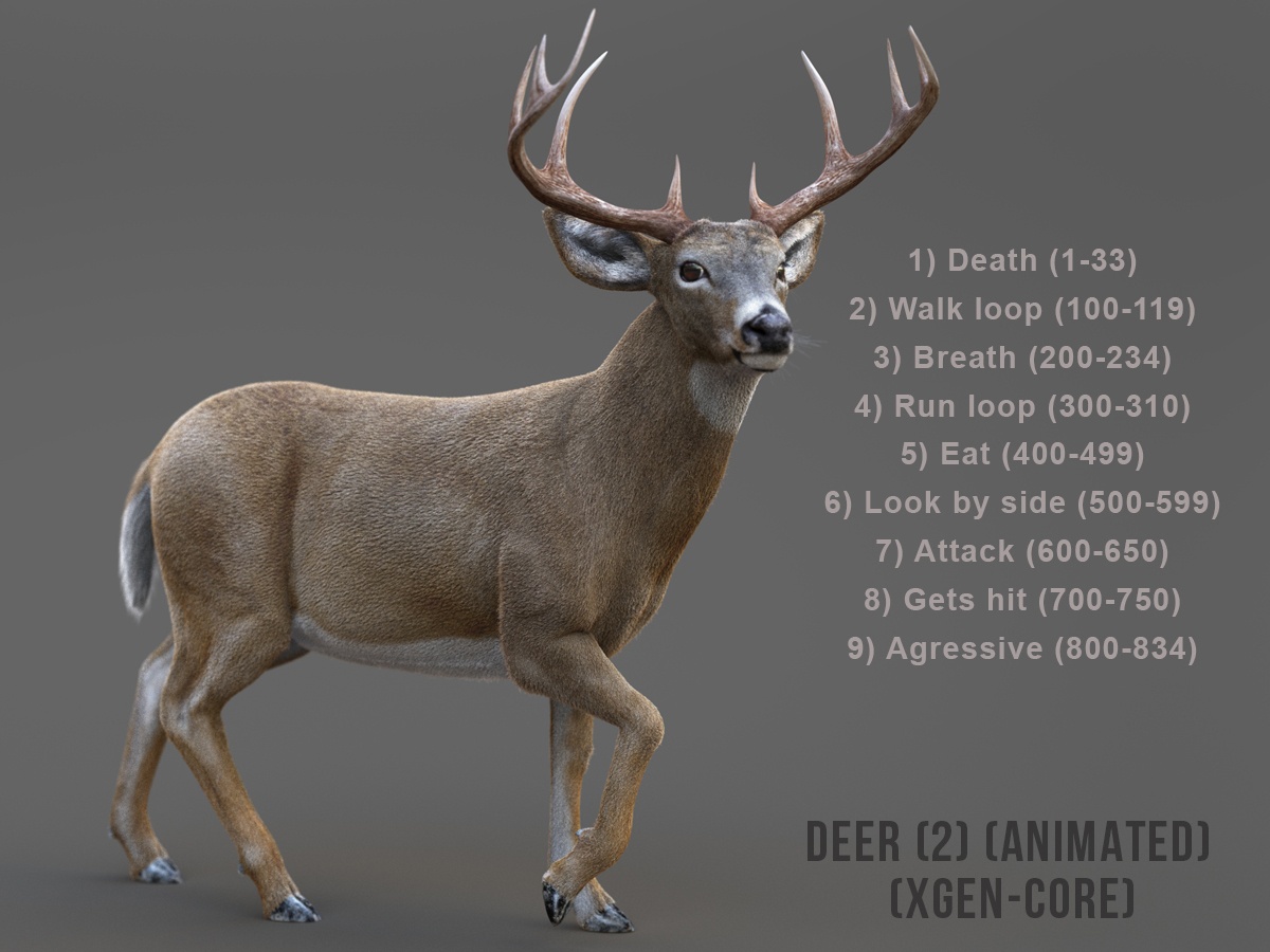 Deer model store