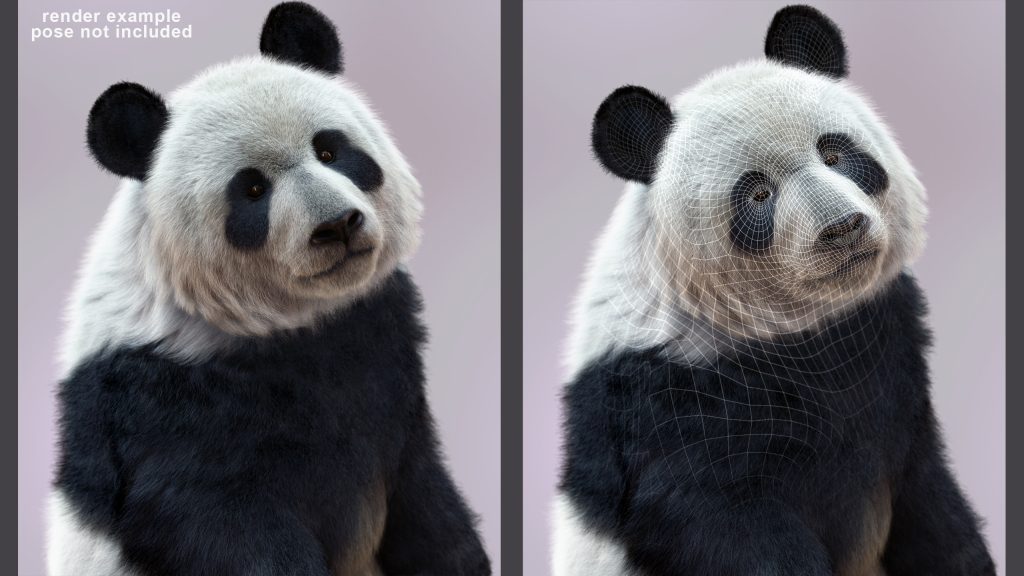 Giant Panda (RIG) (XGEN-CORE) 3D Model Online | Panda 3D Model Online