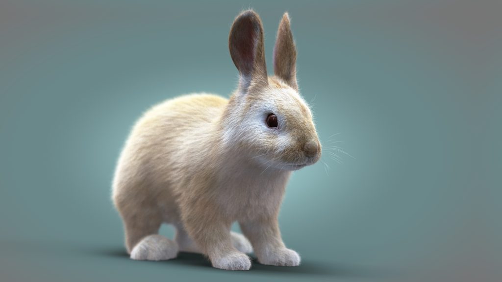 Cream Rabbit XGEN-CORE 3D Model Online | Rabbit 3D Model Online