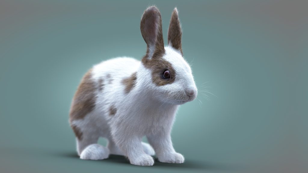 Spotted Rabbit Animated ( XGEN-CORE ) 3D Model Online | Rabbit 3D Model ...
