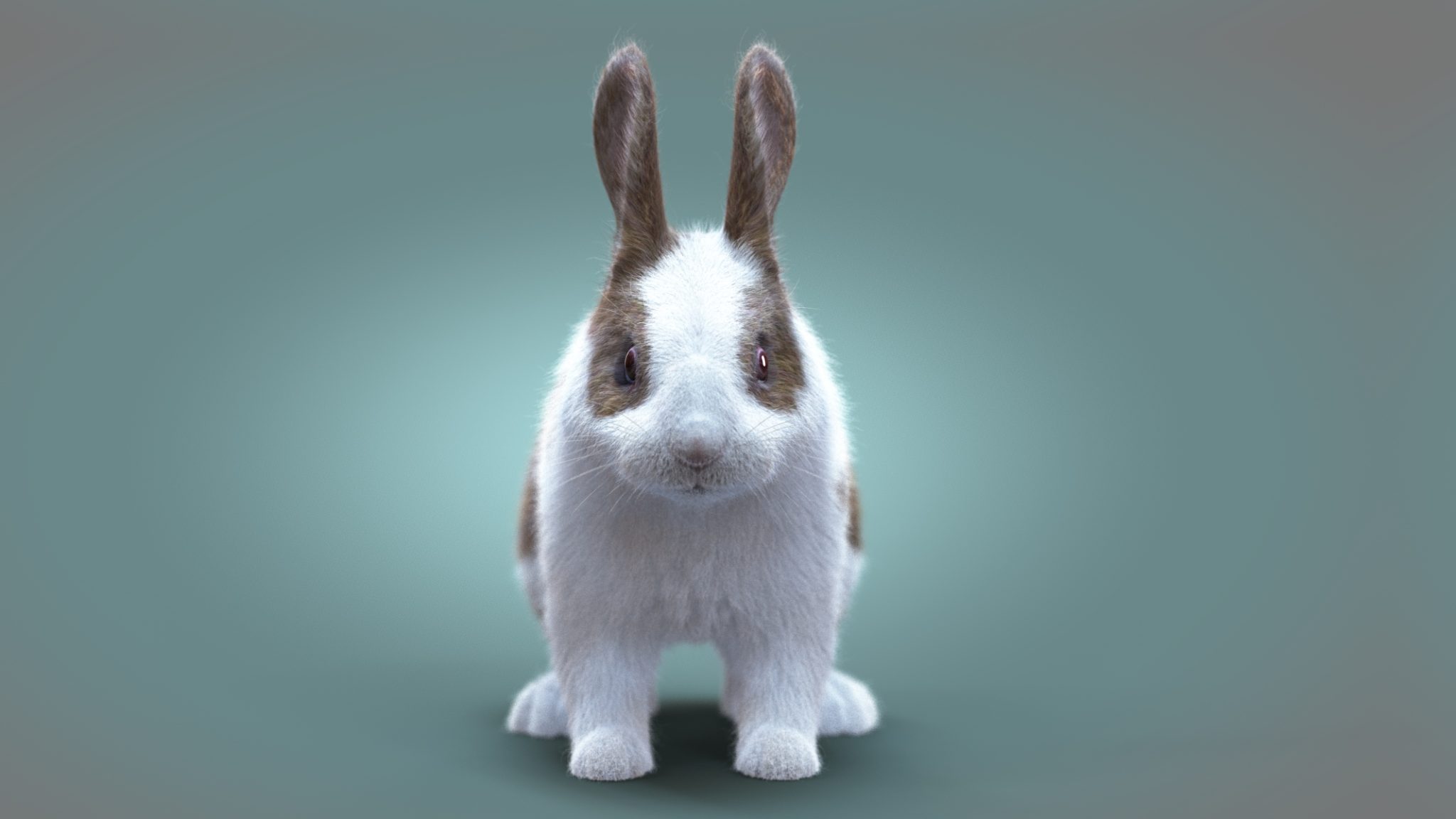 Spotted Rabbit Animated ( XGEN-CORE ) 3D Model Online | Rabbit 3D Model ...