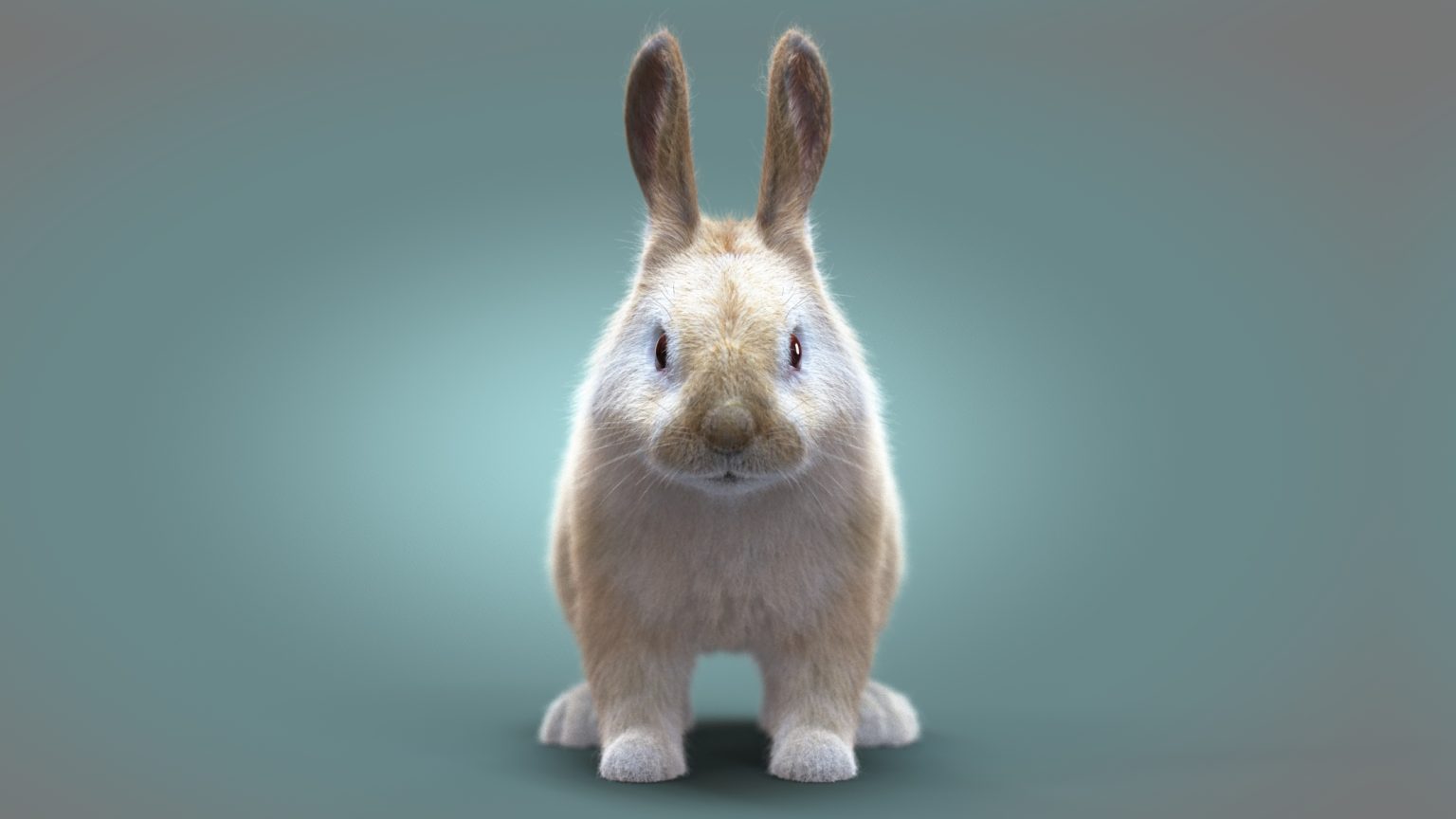 Cream Rabbit XGEN-CORE 3D Model Online | Rabbit 3D Model Online