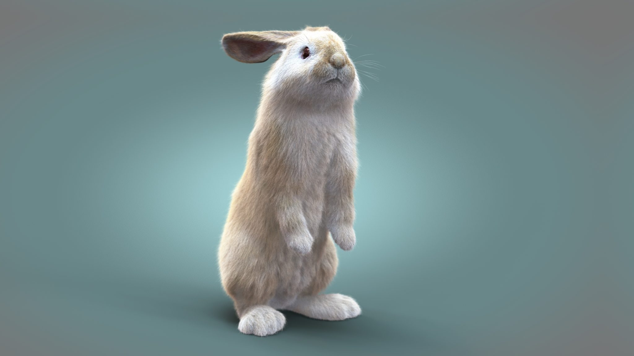 Cream Rabbit XGEN-CORE 3D Model Online | Rabbit 3D Model Online