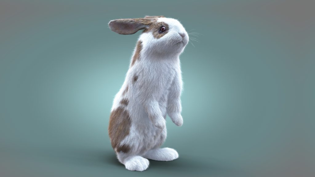 Spotted Rabbit Animated ( XGEN-CORE ) 3D Model Online | Rabbit 3D Model ...