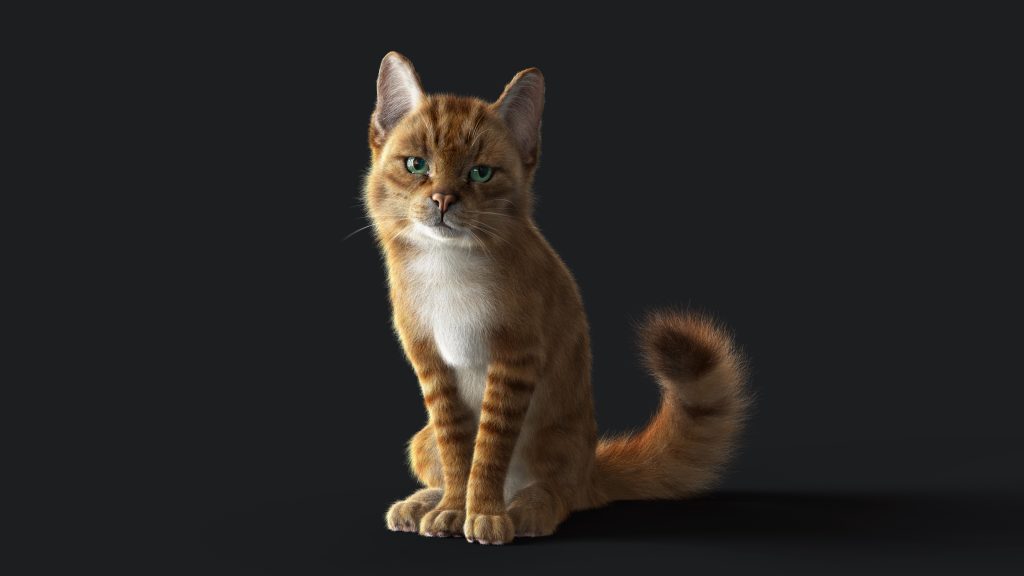 Animated Orange Cat Tabby Online YETI Version | Orange Cat 3D Model Online