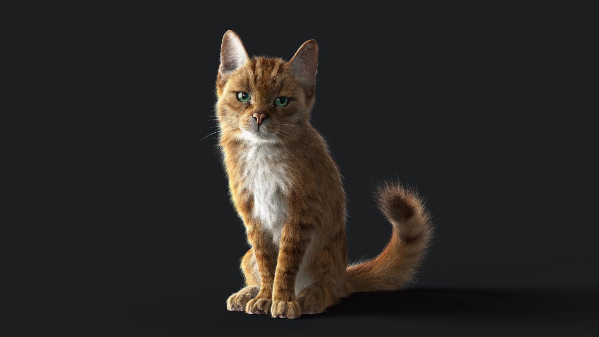 Animated Orange Cat Tabby Online YETI Version | Orange Cat 3D Model Online