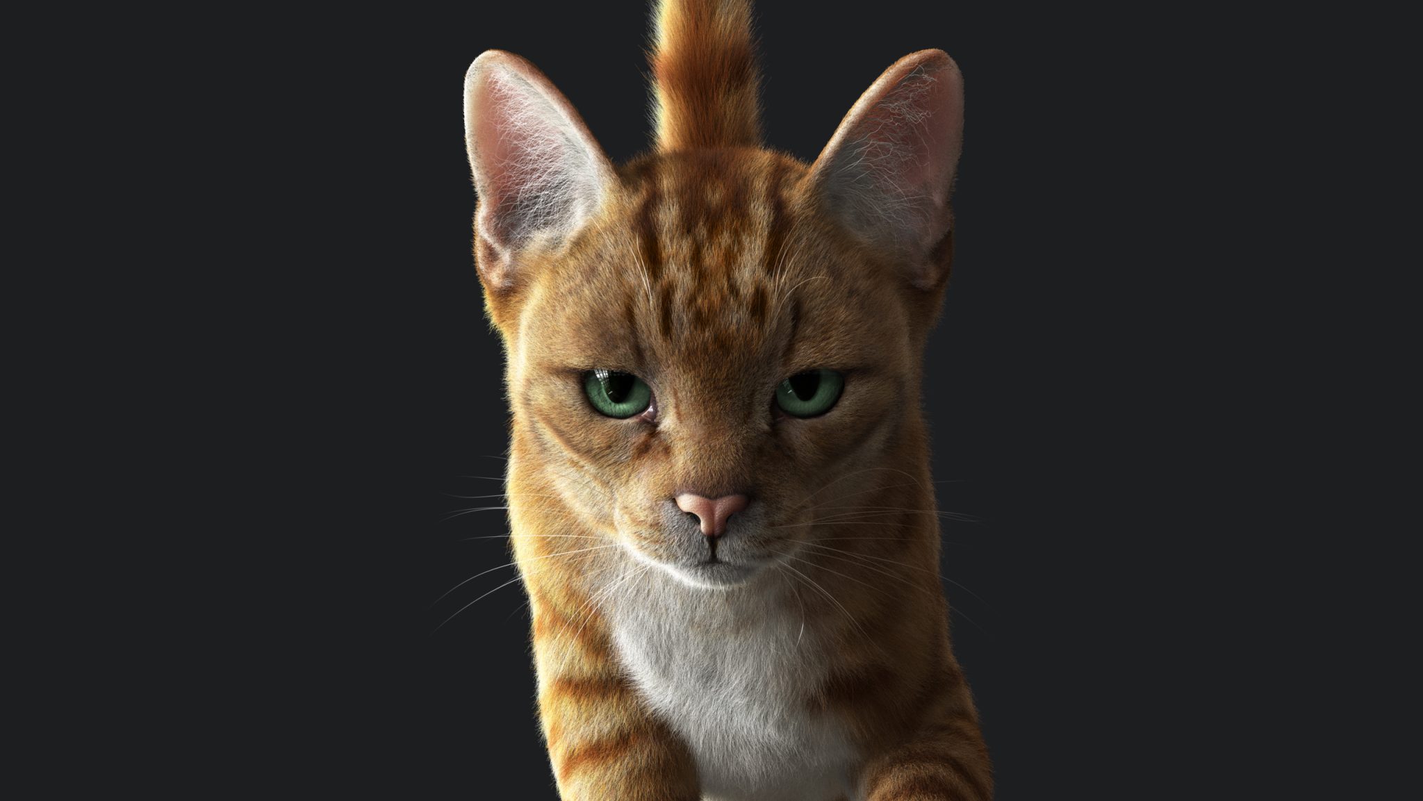 Animated Orange Cat Tabby Online YETI Version | Orange Cat 3D Model Online