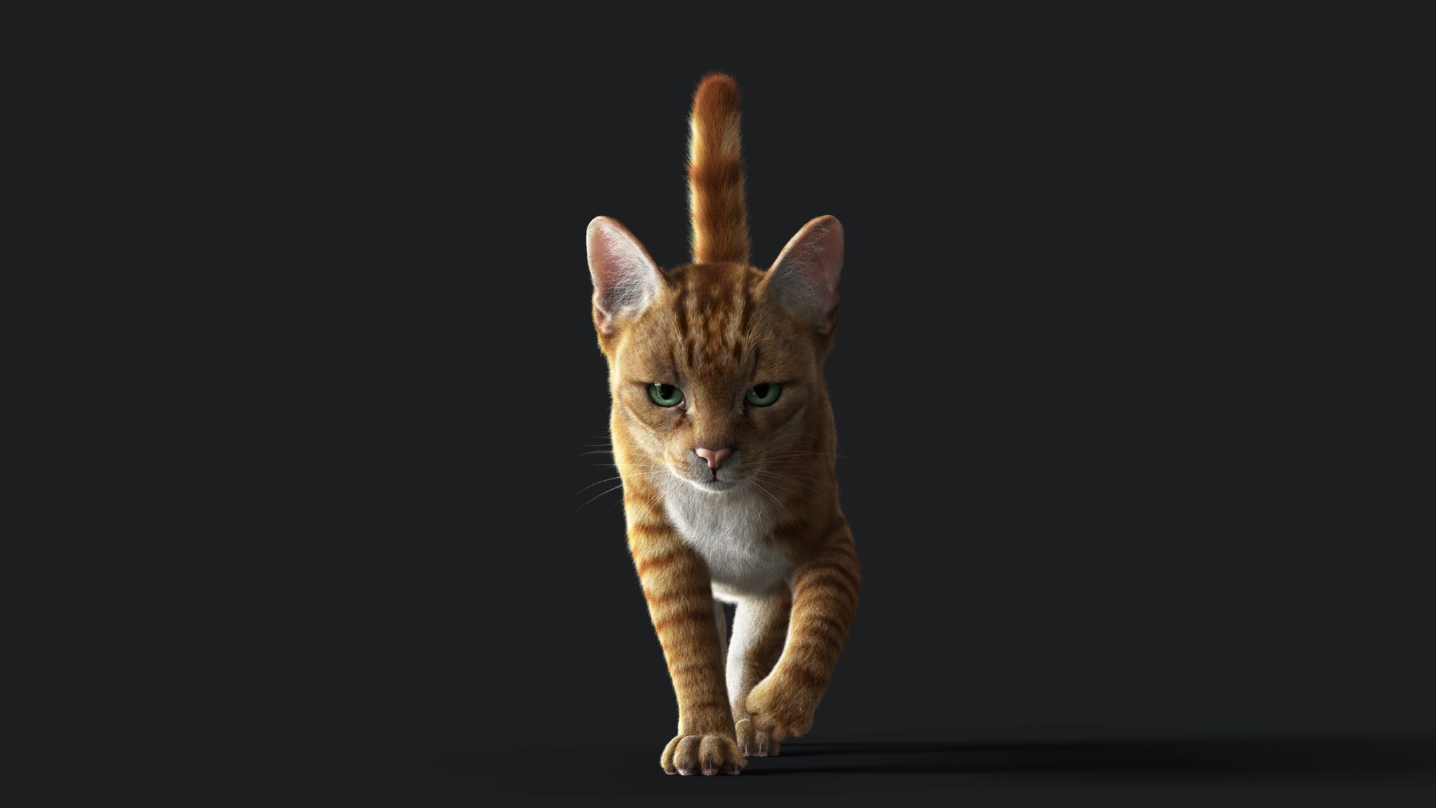 Animated Orange Cat Tabby Online YETI Version | Orange Cat 3D Model Online