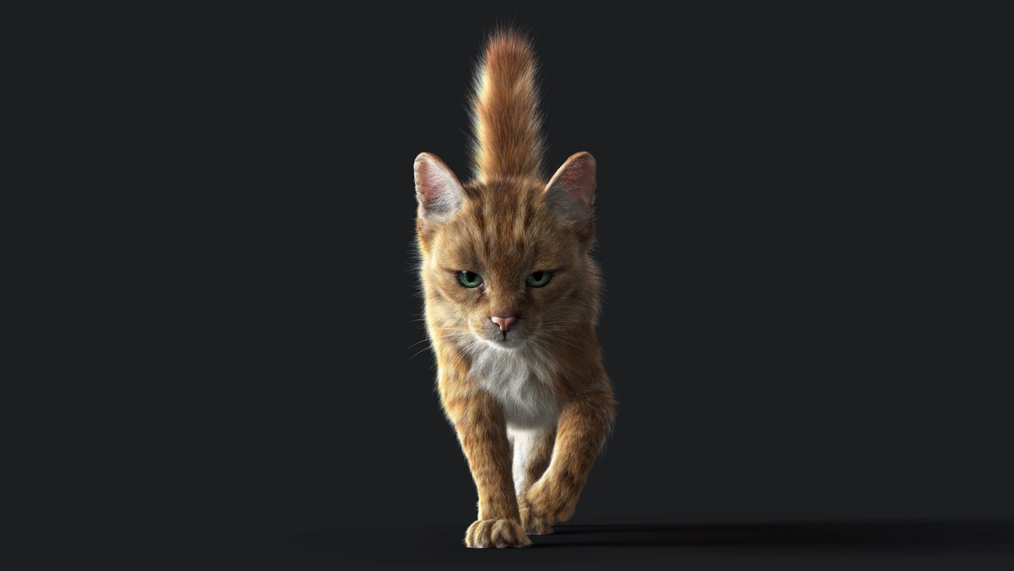 Animated Orange Cat Tabby Online YETI Version | Orange Cat 3D Model Online
