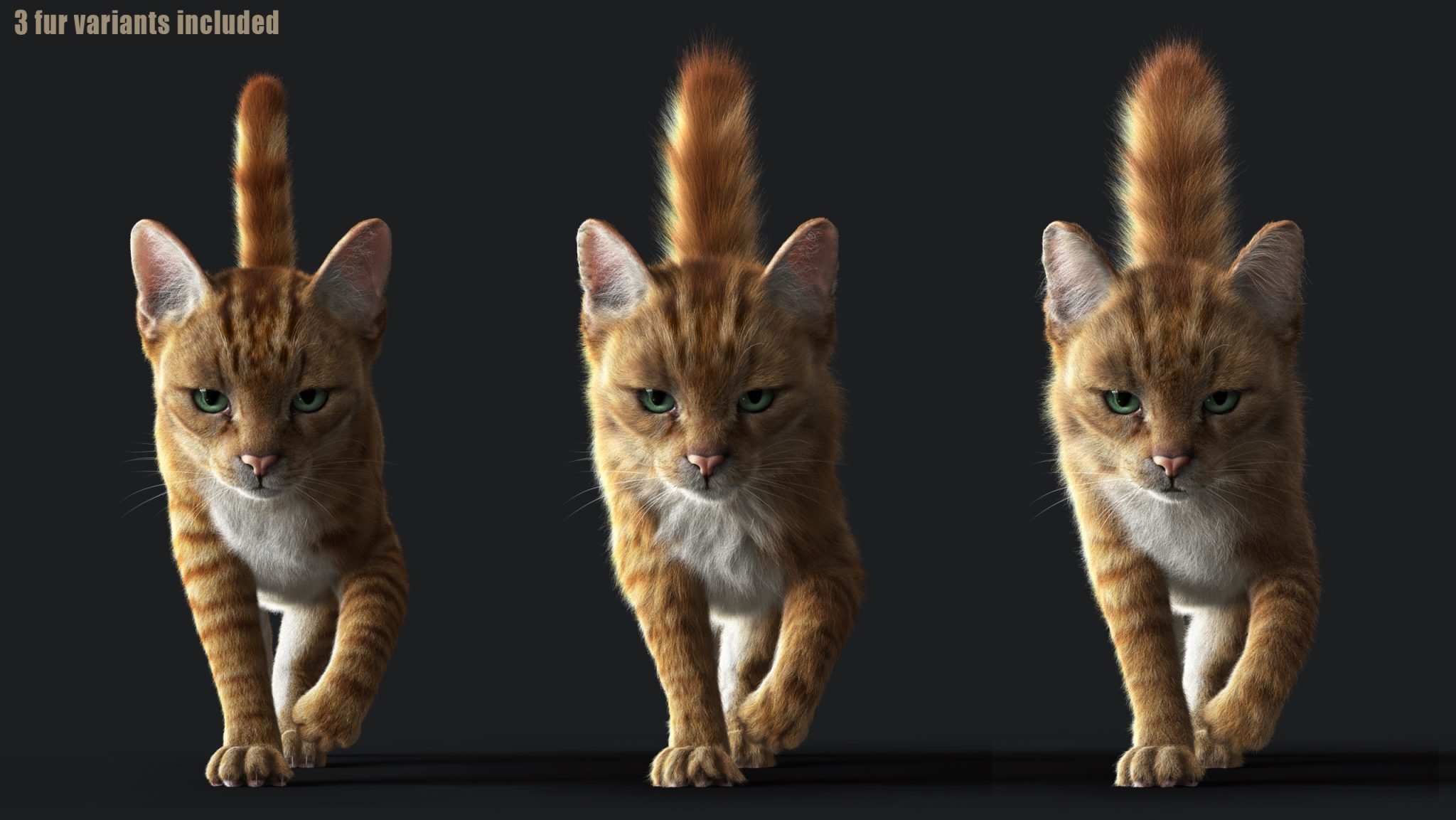 Animated Orange Cat Tabby Online YETI Version | Orange Cat 3D Model Online