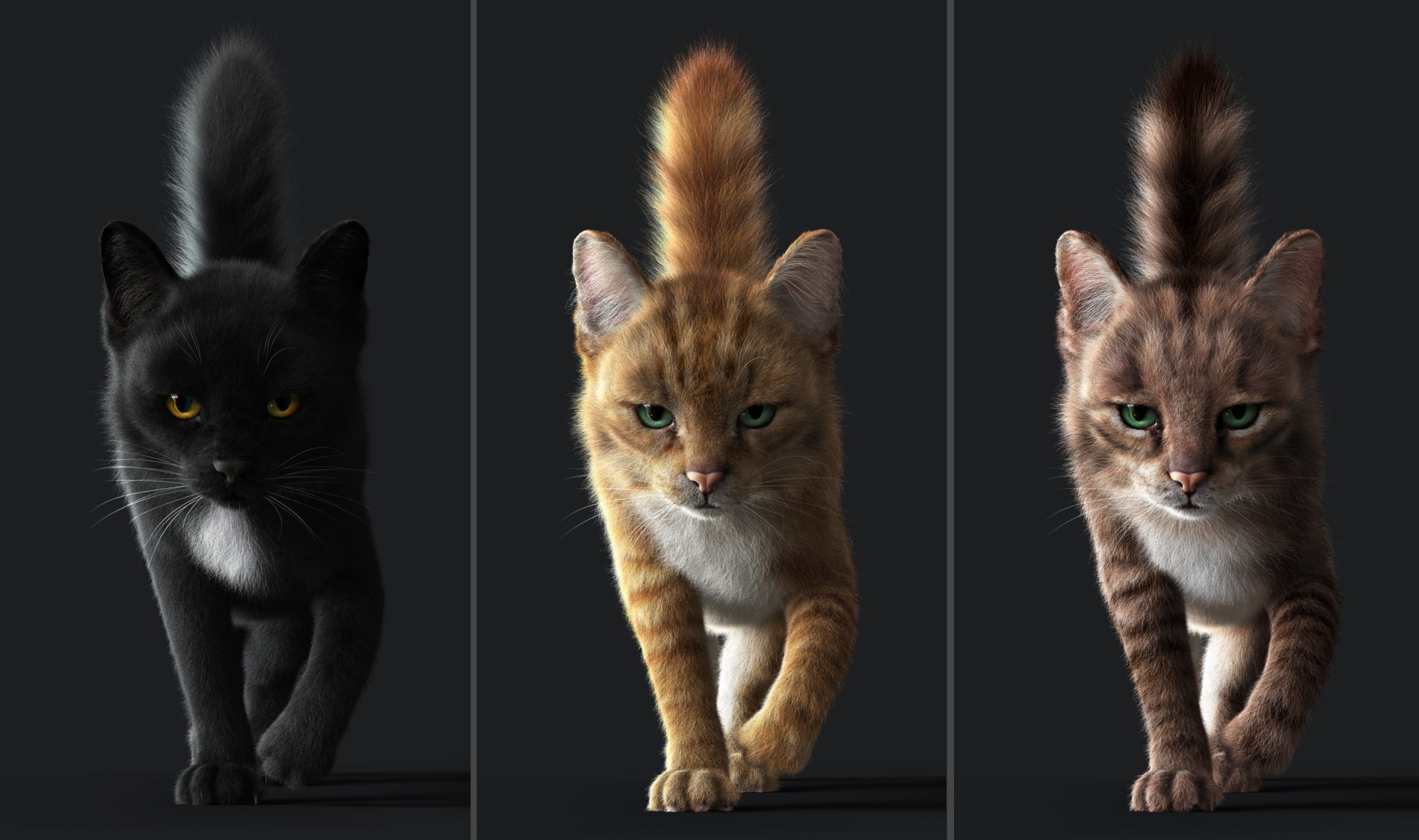 Cat Assets YETI version have been released. - Massimo Righi