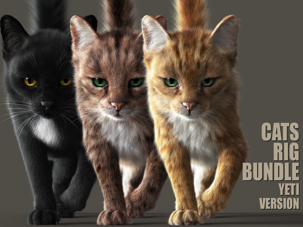 Cats Bundle (Rig) – YETI Version | Massimo Righi