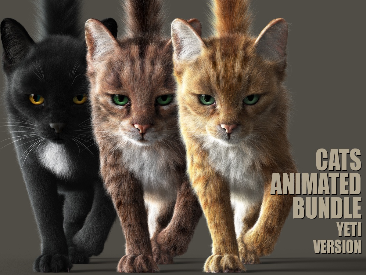 Cats Bundle (Animated) – Yeti Version | Massimo Righi